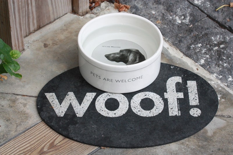 woof, woofer - 단어 외우기 : 네이버 블로그