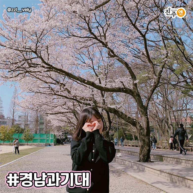 특별한 봄 눈으로 즐기는 진주 벚꽃 명소 Best 네이버 블로그