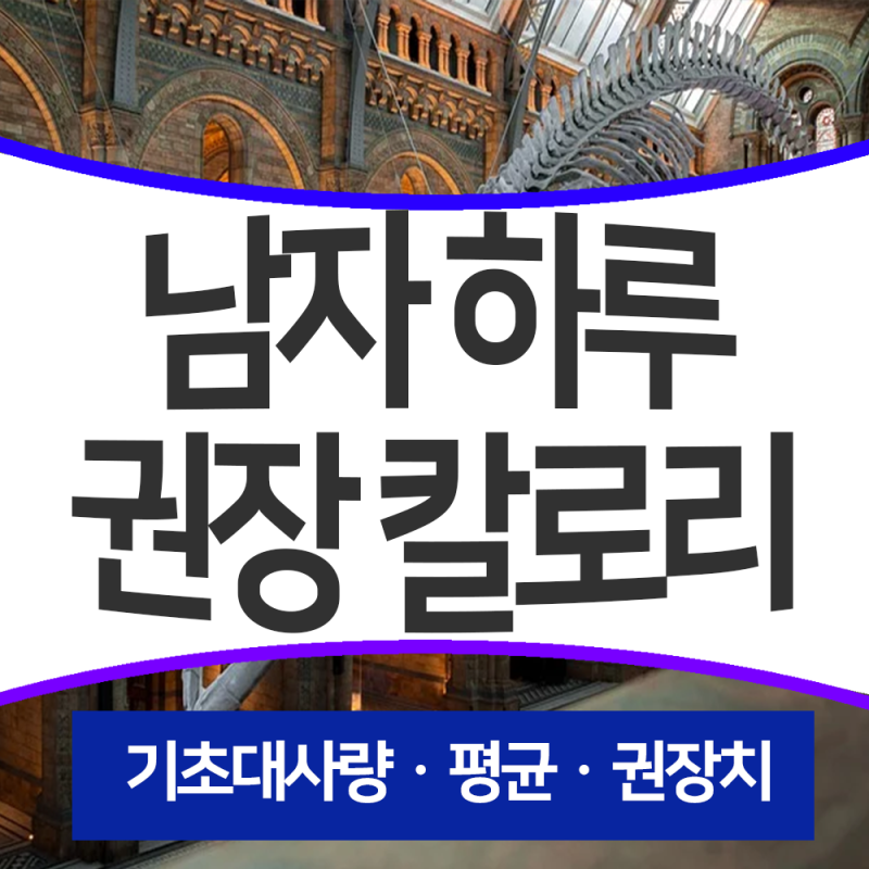 남자 하루 권장 칼로리 성인 기초대사량 계산법 남성 평균 효과 높이기 운동 네이버 블로그