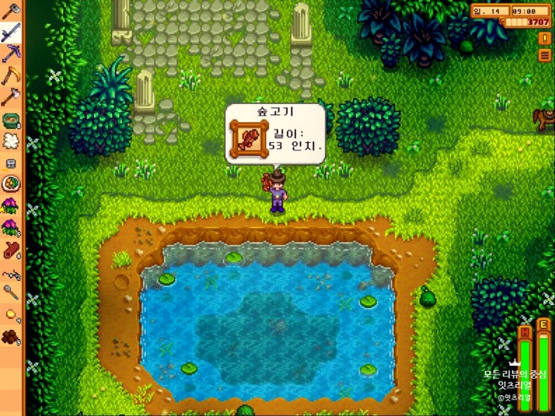 스타듀밸리 비밀의 숲 단단한 나무 및 숲고기 공략 네이버 블로그
