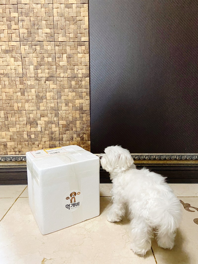 애견수제간식 강아지수제간식쇼핑몰 먹개비 네이버 블로그