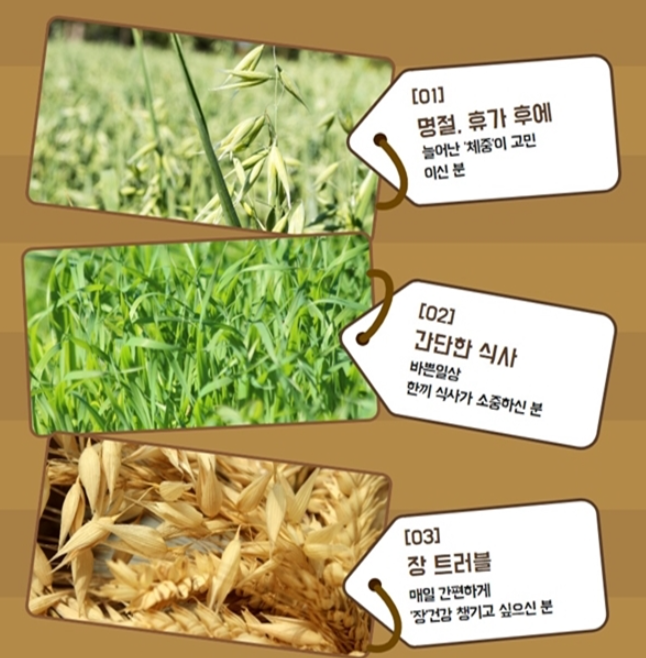 귀리다이어트 볶은 귀리가루 아침대용으로 좋은 귀리분말 식품 효능 네이버 블로그