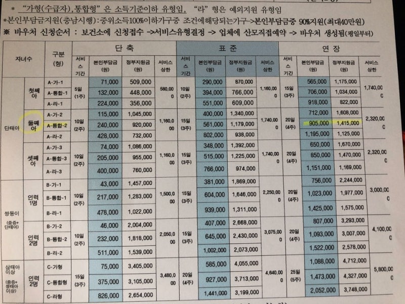 2020 천안 산후조리도우미 본인부담금 90 지원신청 하는 법 정부지원산후도우미 지원하는 법 충남 산후도우미지원