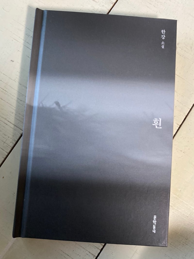 [책]한강 소설 : 네이버 블로그