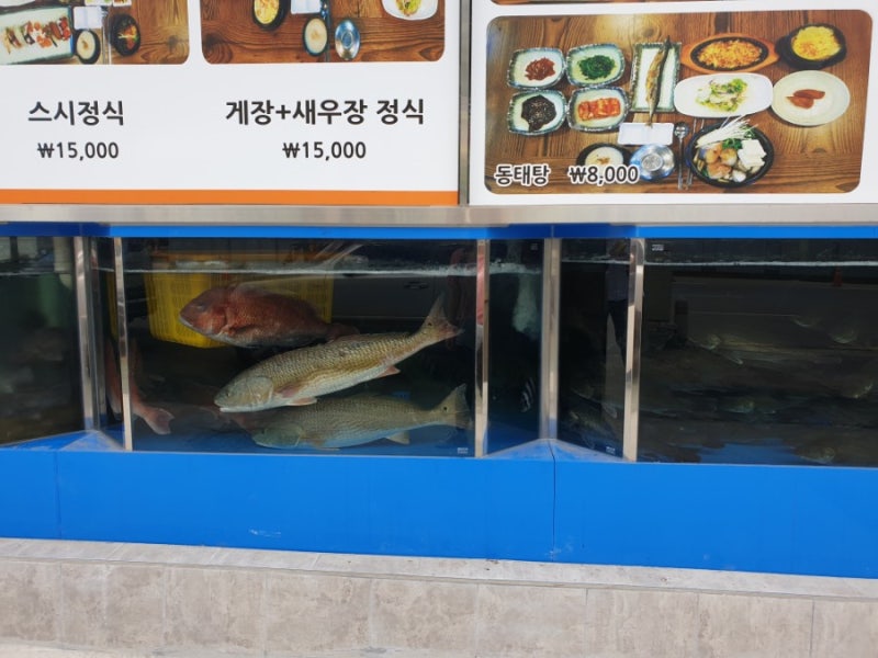 인천 검단 맛집 완정역 맛집 회식 모임하기 좋은 쌍용수산 활어회 회덮밥 네이버 블로그