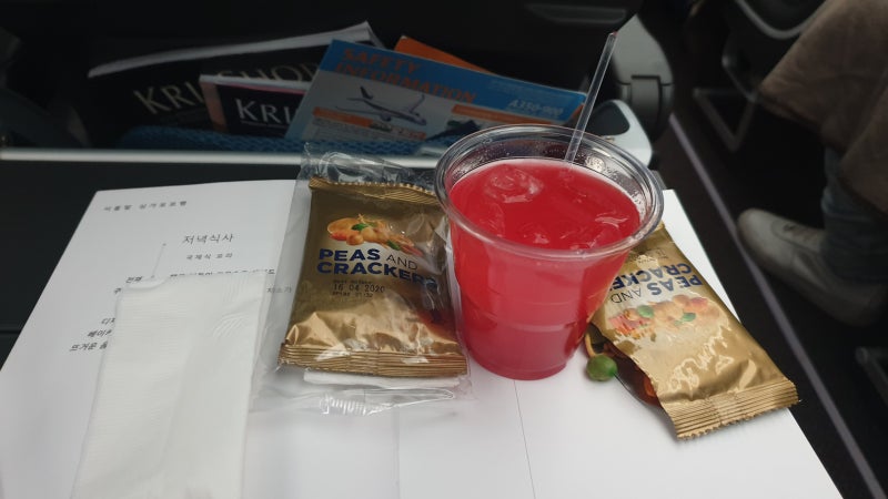 인천 싱가포르 싱가포르항공 SQ609/SQ608 이코노미 - 새비행기 타고 싱가포르 가는 길 : 네이버 블로그