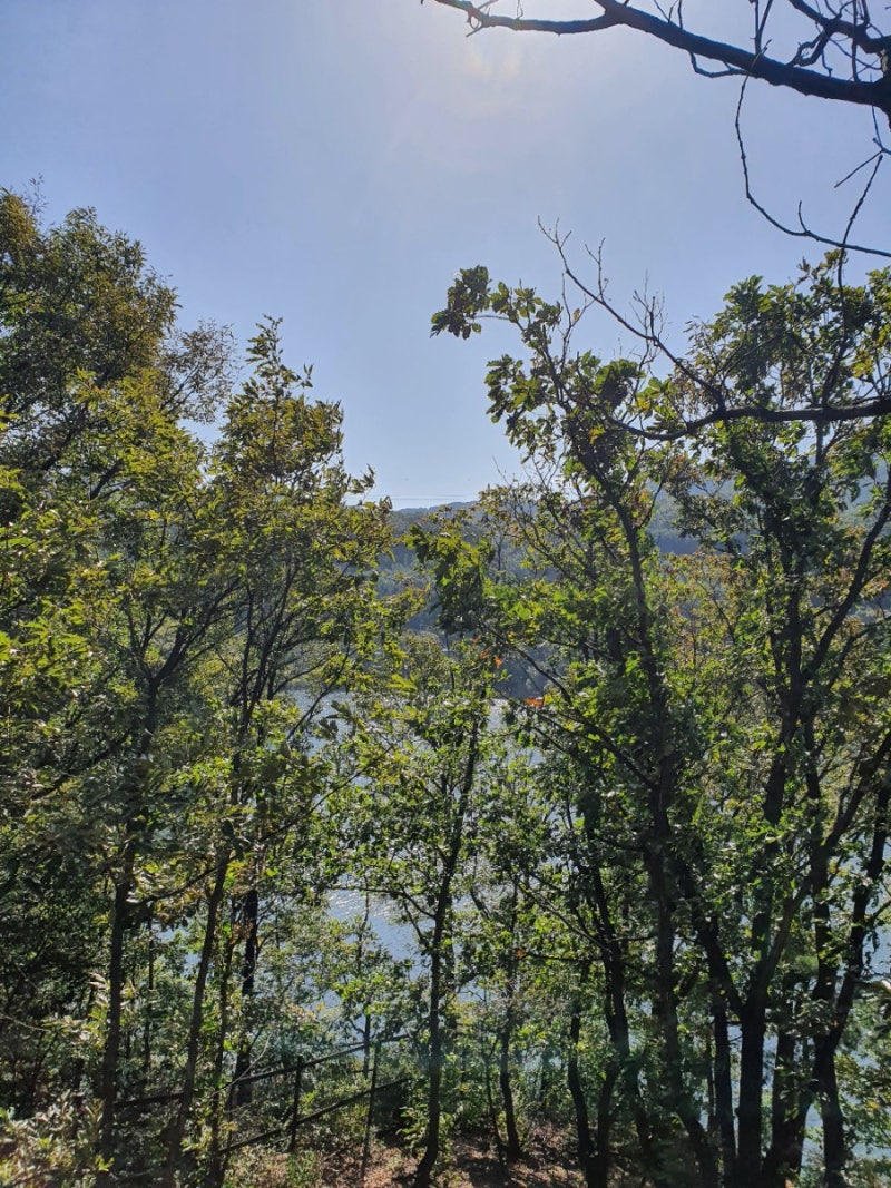파주 가볼만한곳 마장호수 마장호수출렁다리 레드브릿지 빵집 네이버 블로그