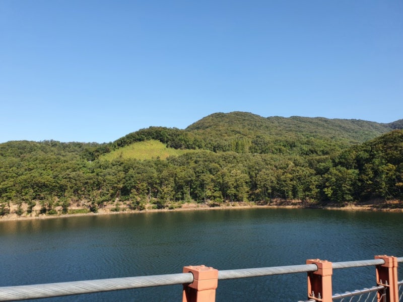 파주 가볼만한곳 마장호수 마장호수출렁다리 레드브릿지 빵집 네이버 블로그