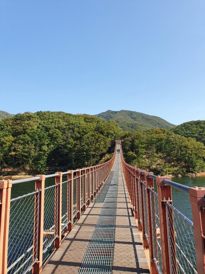 파주 가볼만한곳 마장호수 마장호수출렁다리 레드브릿지 빵집 네이버 블로그