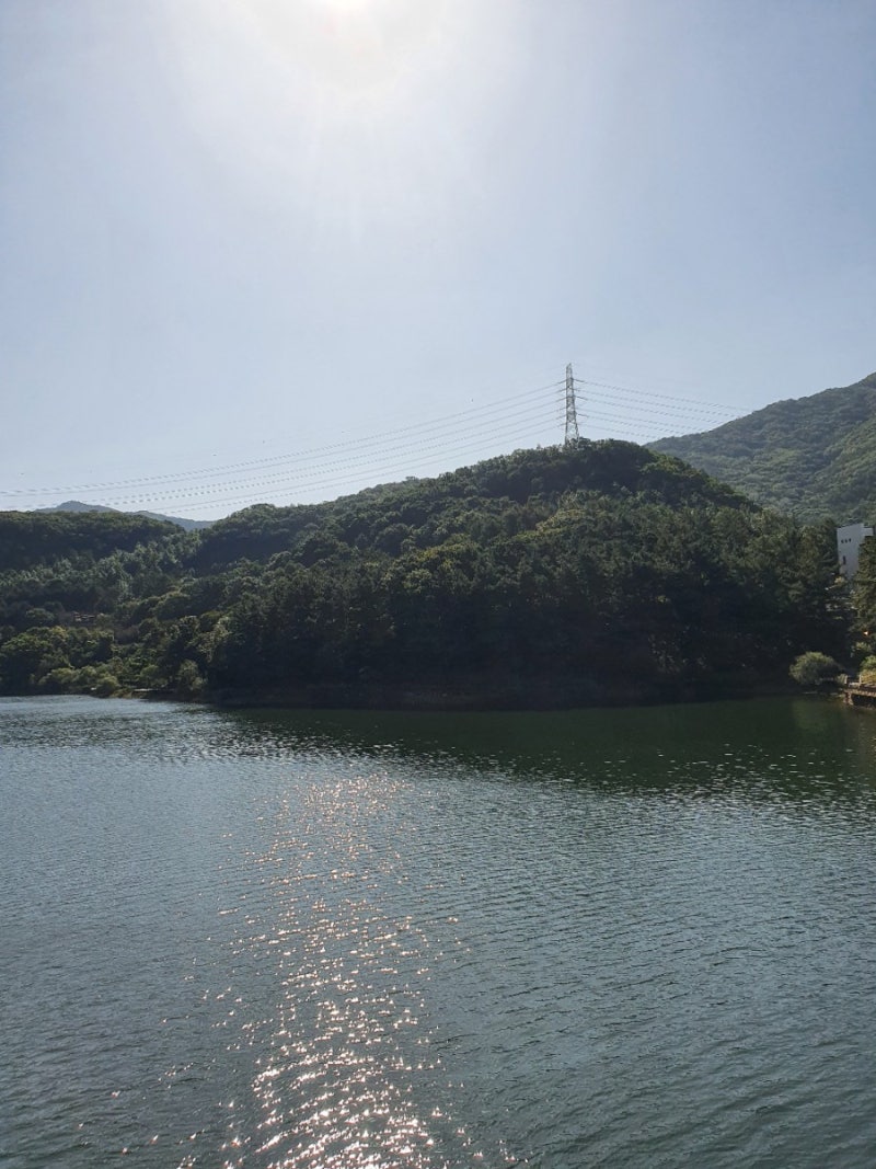 파주 가볼만한곳 마장호수 마장호수출렁다리 레드브릿지 빵집 네이버 블로그