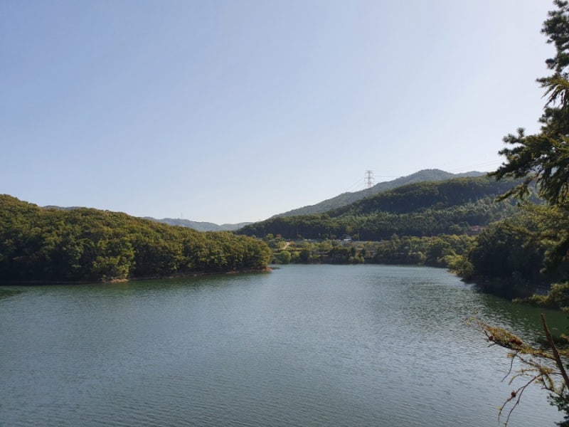 파주 가볼만한곳 마장호수 마장호수출렁다리 레드브릿지 빵집 네이버 블로그