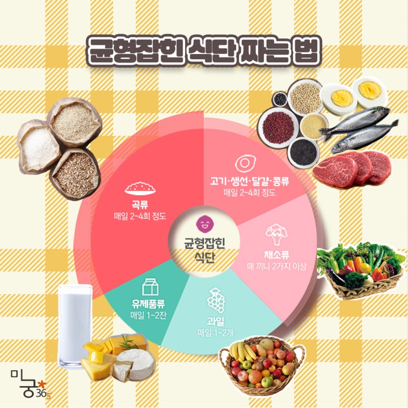 다이어트정보 덴마크 다이어트 황제 다이어트 다이어트 식단 짜는 법 네이버 블로그