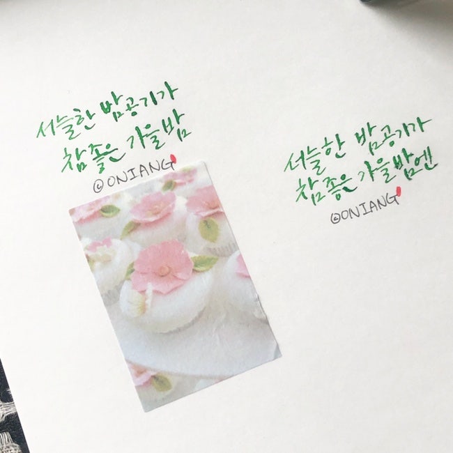 캘리그라피 독학 딥펜 잉크 연습 초록색 잉크 캘리문장추천 연습문구 가을밤 알리익스프레스 글라스펜구입 유리펜 네이버 블로그