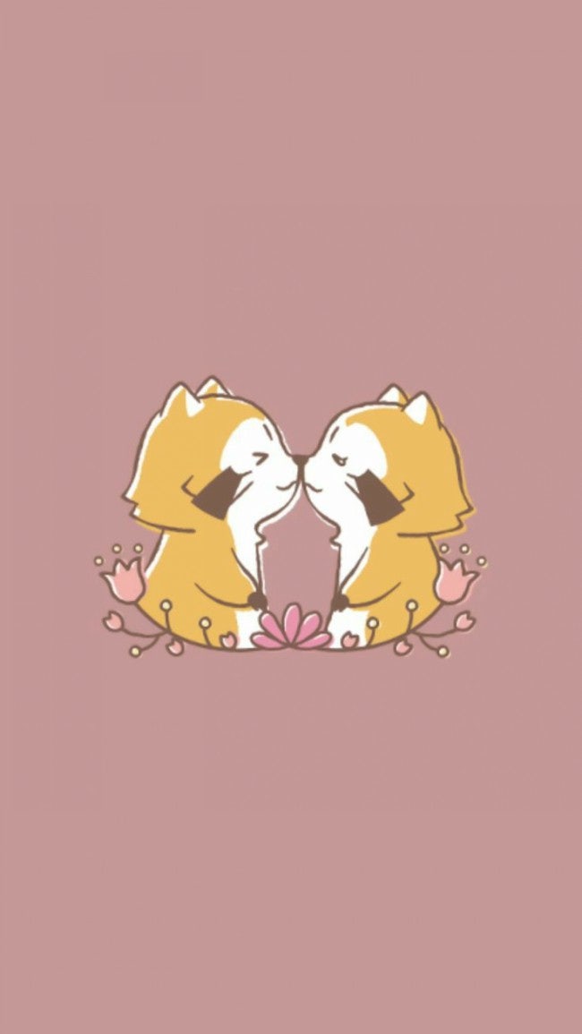 ° 미국너구리 캐릭터 라스칼 아이폰 고화질배경화면 PUCHI RASCAL : 네이버 블로그