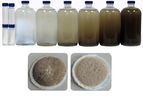 대용량 환경, 수질 샘플 추출 솔루션 :: Biotage VacMaster Disk : 네이버 블로그