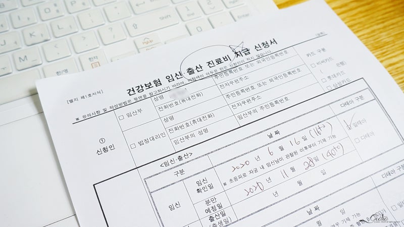 임신바우처신청 방법 초간단 임신출산진료비 지급 신청 네이버 블로그