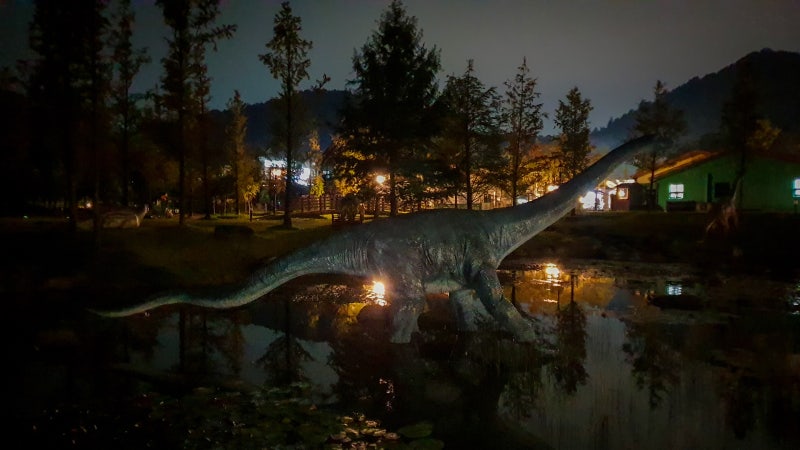 담양 메타프로방스 메타세콰이어길 메타세콰이아랜드 가로수길 야경 가볼만한곳 네이버 블로그
