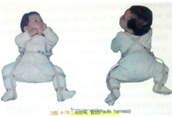 (2) : 네이버 블로그