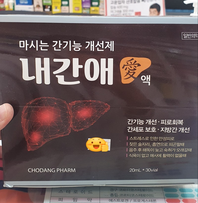 간기능 개선제 약사가 소개하는 약국 간 영양제 우루사 밀크시슬 가네진정 하이간액 헤포스시럽 내간애 액 종합비타민