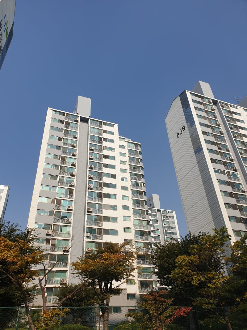 수원 영통 부동산 소액 갭투자 리모델링 추진중인 벽적골주공8단지 네이버 블로그
