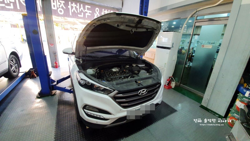 올뉴투싼 디젤 관리 흡기크리닝 Dpf클리닝 합리적인 세트 가격 네이버 블로그