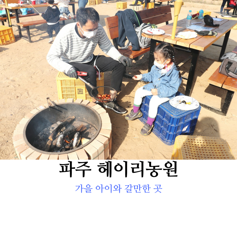 파주 헤이리농원 아이와 갈만한 곳 네이버 블로그
