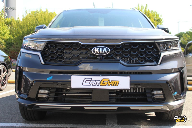 신형 쏘렌토 Mq4 PPF 실내 하이그로시 : 네이버 블로그