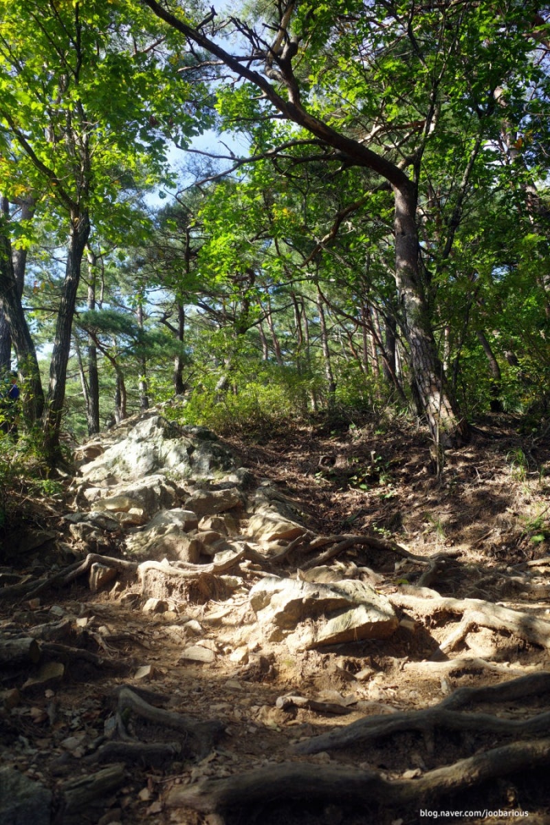 춘천 삼악산 등산 코스 추천의암매표소 상원사 전망대 용화봉 흥국사 등선폭포 강원도 춘천으로 기차타고 여행 같은 산행 떠나요