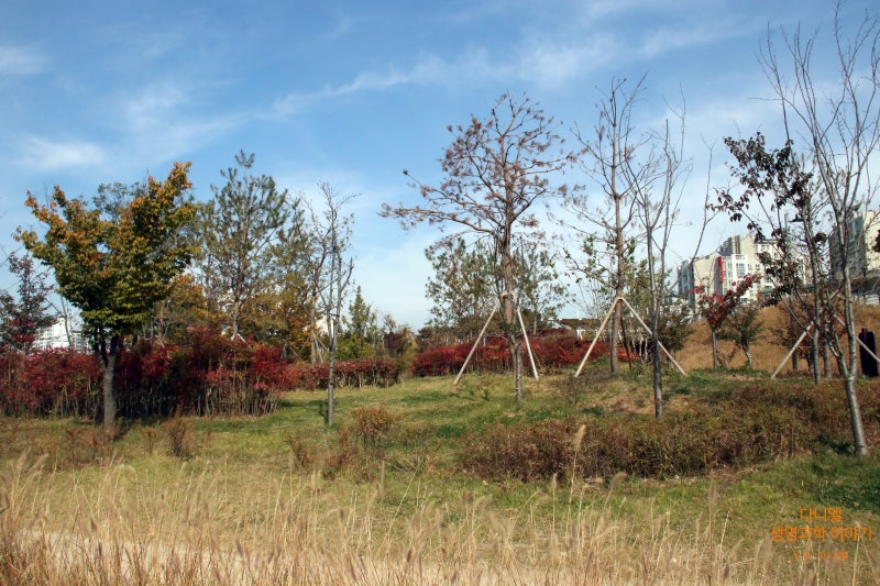 서울나들이 : 한강망원지구 ~양화진. 한강 산책길을 따라 가을 느끼기 : 네이버 블로그