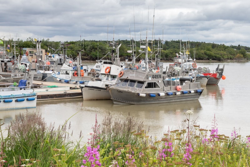 Alaska Pebble Mine Project : 네이버 블로그