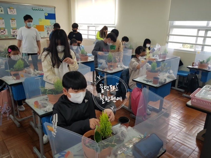 초등원예수업 정서안정 행복한 가족정원 원예특별활동 네이버 블로그