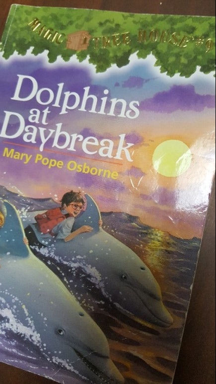 [Magic Tree House] Dolphins at Daybreak : 네이버 블로그