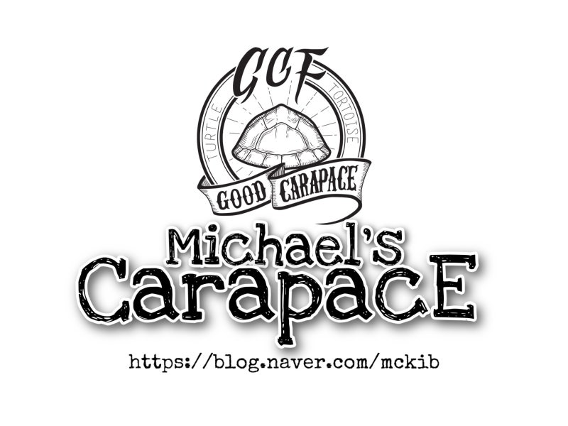 물소리 참 Joe Ta : 네이버 블로그