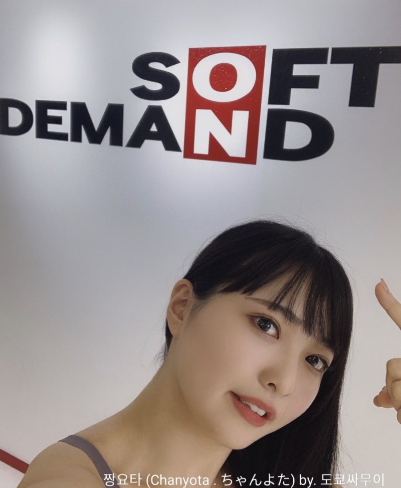 1995 / Chanyota / ちゃんよた / 짱요타 / AV / Japanese Porn