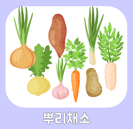 흙 생성 과정 컷도안 및 퍼즐그림 환경과 생활 교구 환경과 생활 활동지 및 태양계 행성 퍼즐그림 환경가랜드