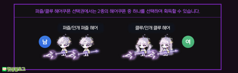 메이플스토리메이플 12기 마라벨 안개 클루 헤어 후기 밤의 클루 네이버 블로그