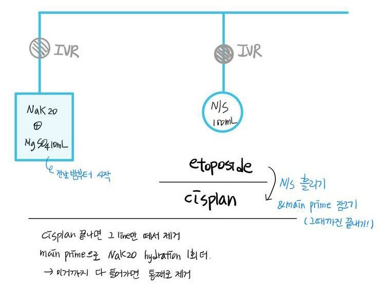 [항암요법] 폐암 :: EP : 네이버 블로그