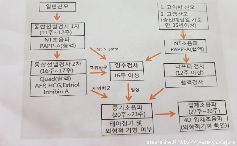 한방이 13주차 니프티 검사and취약x증후군 검사 A2