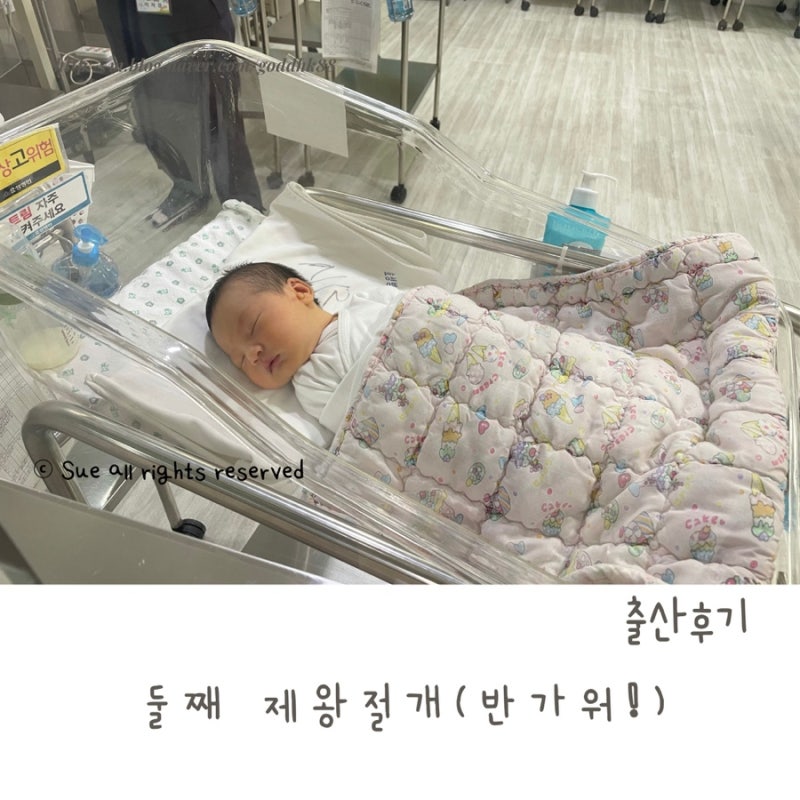 둘째 제왕절개 후기 무통 페인버스터 O 훗배앓이 대구 효성병원 네이버 블로그