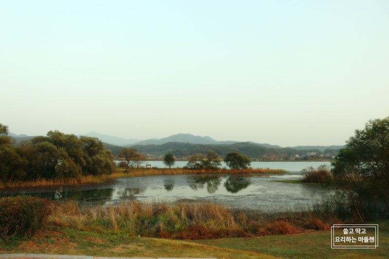 남양주 쌈밥 물의정원맛집 산에들에 한정식 네이버 블로그