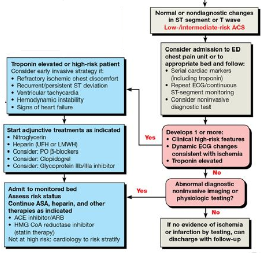 [ACLS(Advanced Cardiovascular Life Support)7-2]ACS(Acute Coronary ...