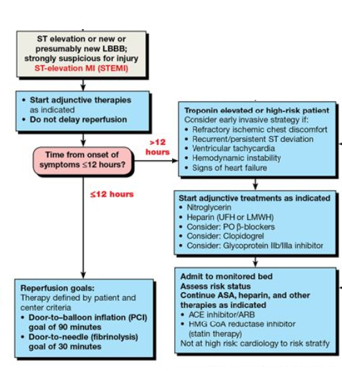 [ACLS(Advanced Cardiovascular Life Support)7-2]ACS(Acute Coronary ...