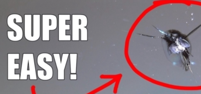 K5 유리교환 갑자기 돌빵으로 깨진 기아자동차 K5 유리교체 하이패스룸미러 솔라쉴드 열차단썬팅 시공 후기 및 유리교환수리비용 그리고 썬루프 방탄필름 원경시동 작업