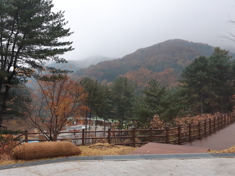 동두천자연휴양림 휴양관 룸컨디션 부대시설 및 정보 네이버 블로그