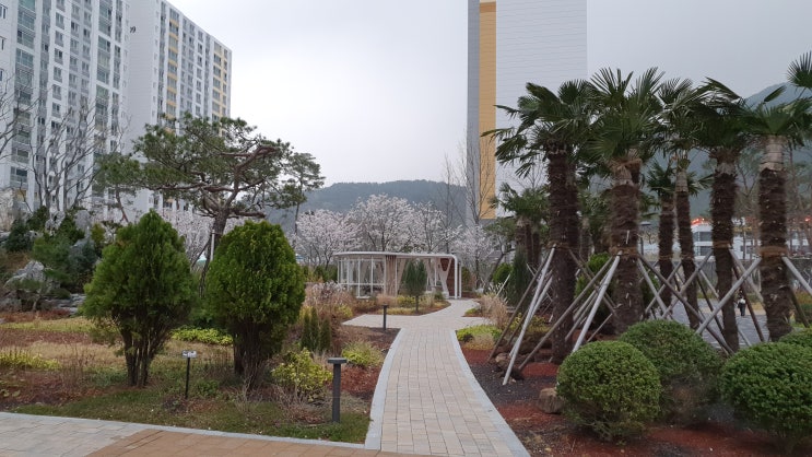 김해 율하 부산 명지 양산 울산 장유 코딩공부방창업 코딩가맹 코딩강사과정 코딩강사교육 코딩지도사 율산초 모산중 대청중 수남중 율하중