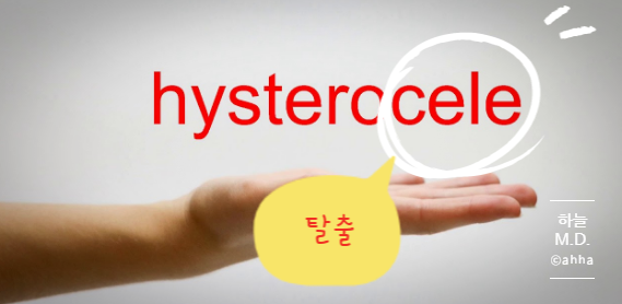 의학용어 Suffix(2) -genesis, -osis, -sy, -us, -cele, -cyesis, -cyte, -dynia ...