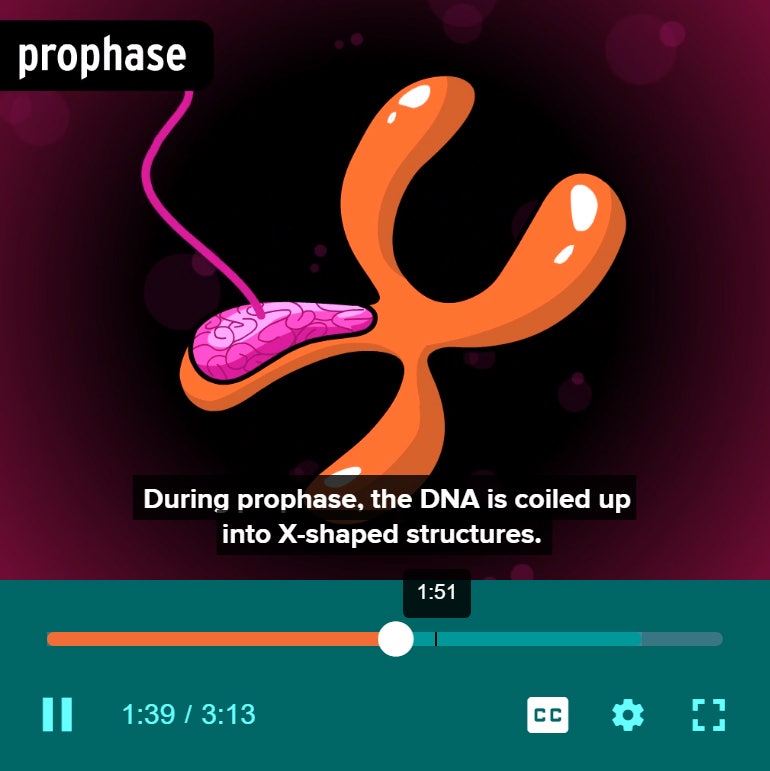 브레인팝(Brainpop)과 함께 하는 오남리 몬스터영어 : 네이버 블로그
