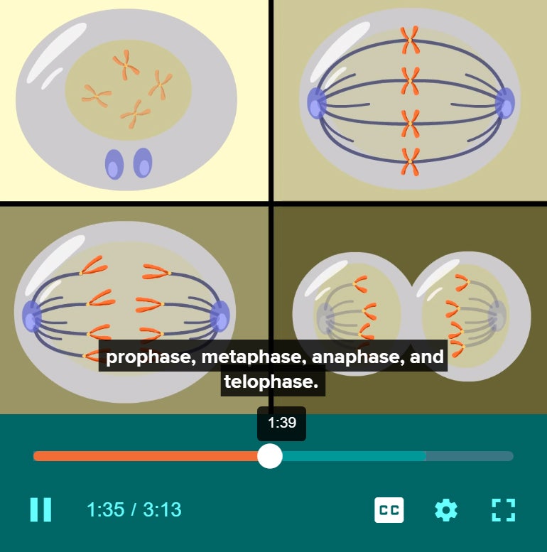브레인팝(Brainpop)과 함께 하는 오남리 몬스터영어 : 네이버 블로그