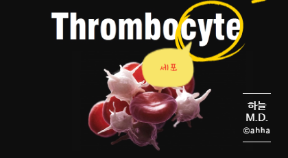 의학용어 Suffix(2) -genesis, -osis, -sy, -us, -cele, -cyesis, -cyte, -dynia ...