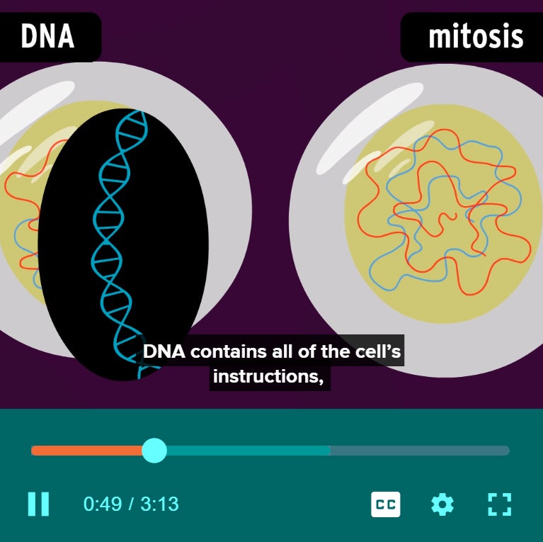 브레인팝(Brainpop)과 함께 하는 오남리 몬스터영어 : 네이버 블로그